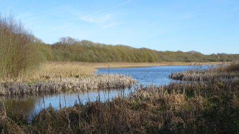 Boultham Mere | Lincolnshire Wildlife Trust